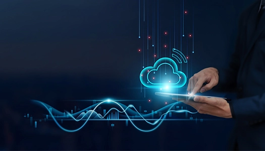 Operational Optimization Through API Management - Case Study